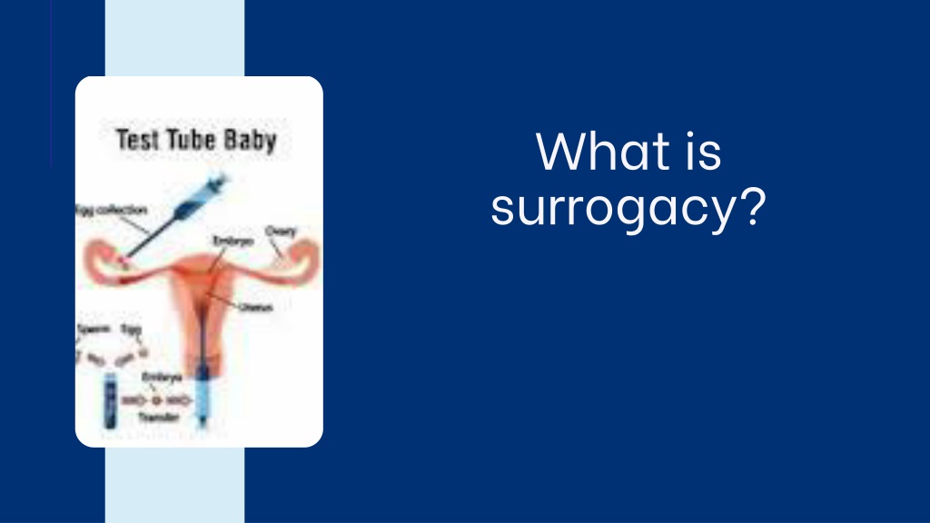 PPT - Surrogacy For Gay Couples PowerPoint Presentation, free download ...
