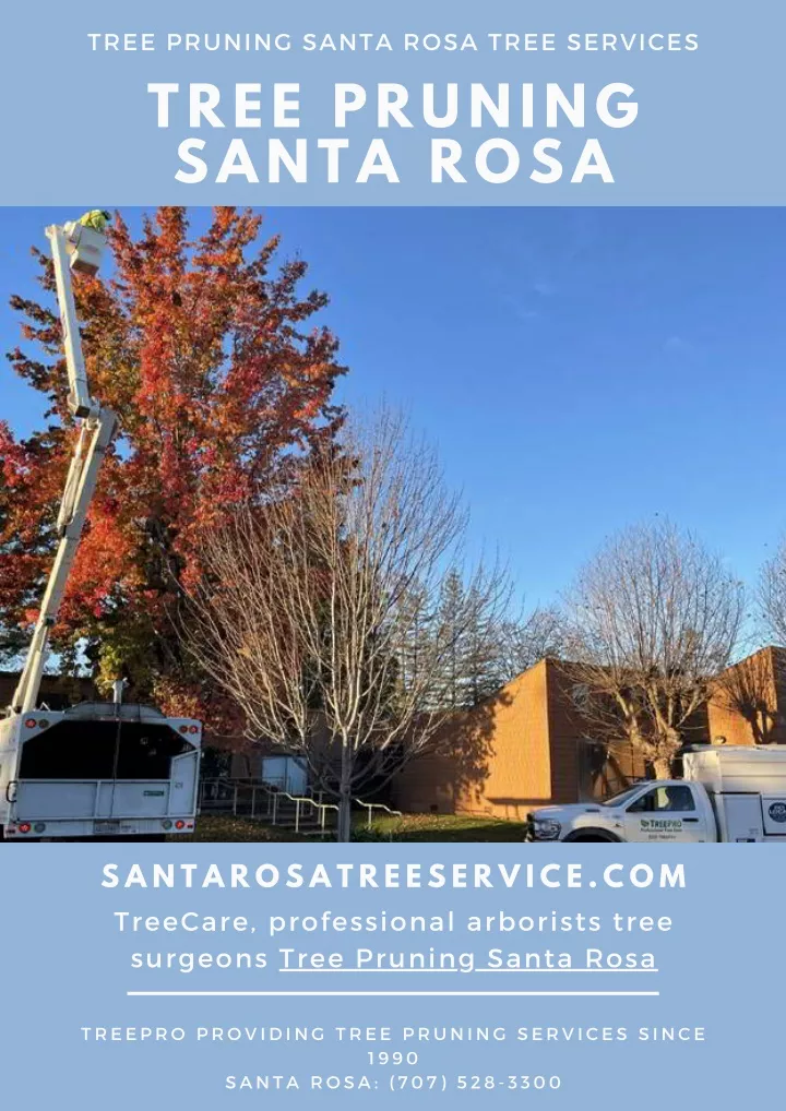 PPT - Tree Pruning Santa Rosa PowerPoint Presentation, free download ...