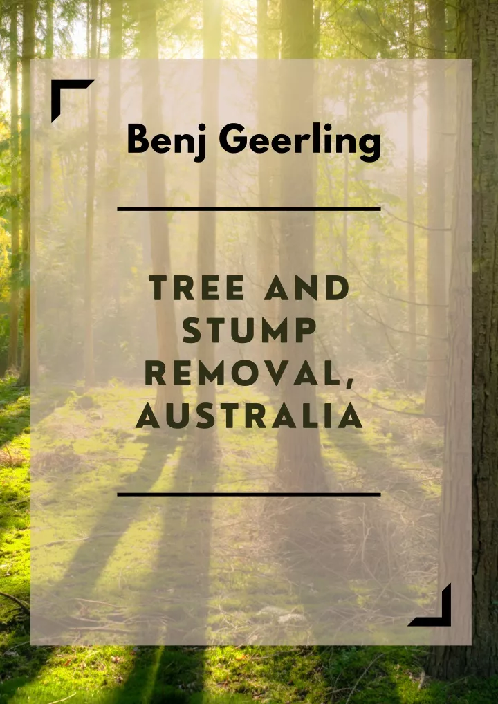 PPT - Benj Geerling - Tree and Stump Removal, Australia PowerPoint ...