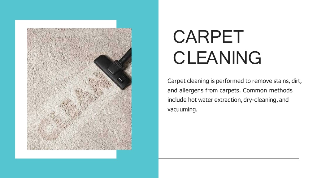 PPT - The 12 Step Carpet Cleaning Process PowerPoint Presentation, free ...