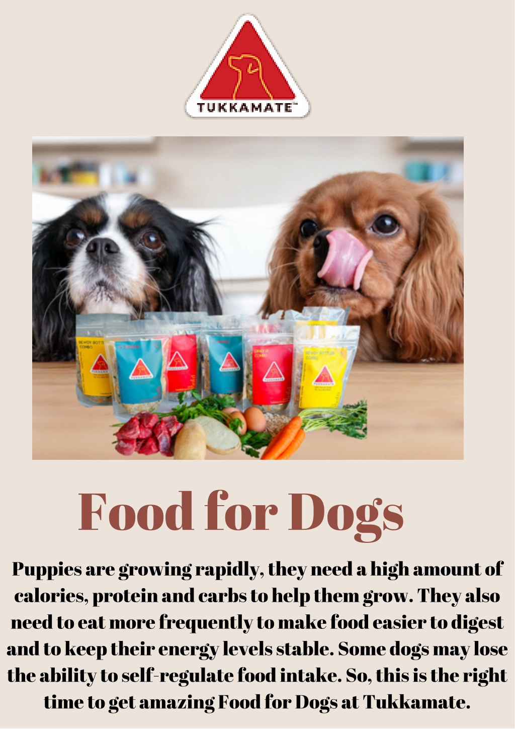 PPT - Food For Dogs in Los Angeles | Tukkamate PowerPoint Presentation ...