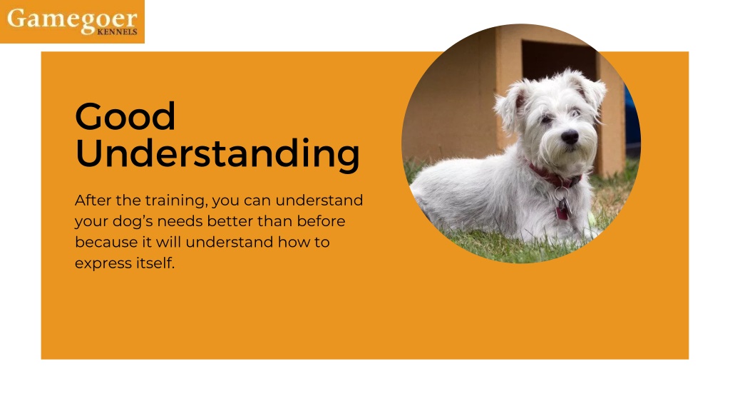 PPT - Four Reasons to Choose Professional Dog Trainer PowerPoint ...