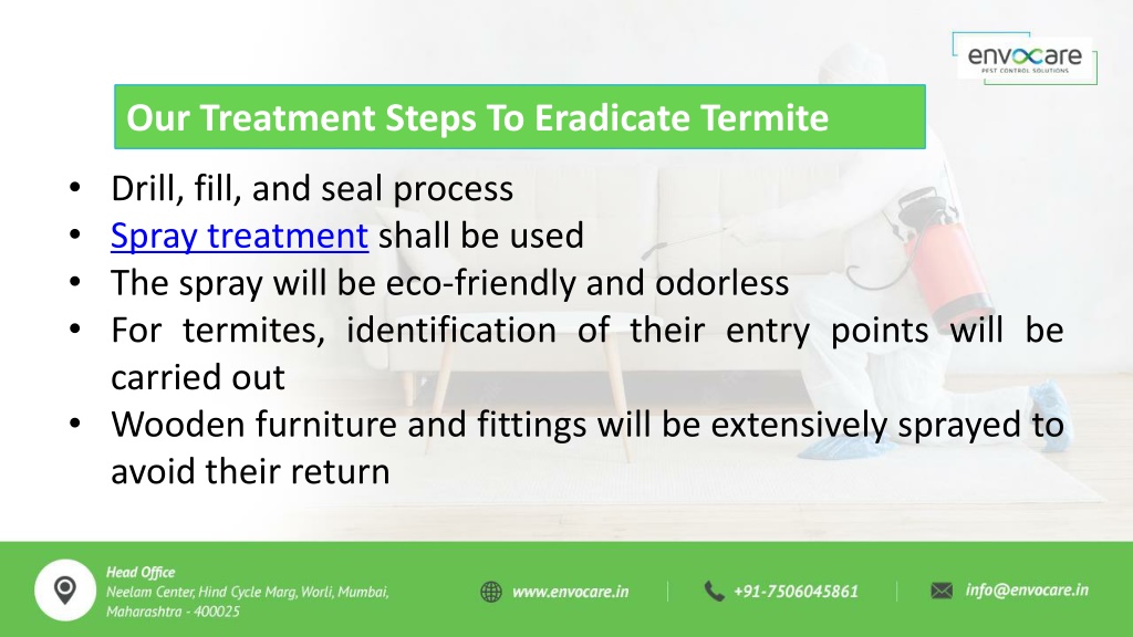 PPT - Effective Termite Treatment and Pest Control Services PowerPoint ...