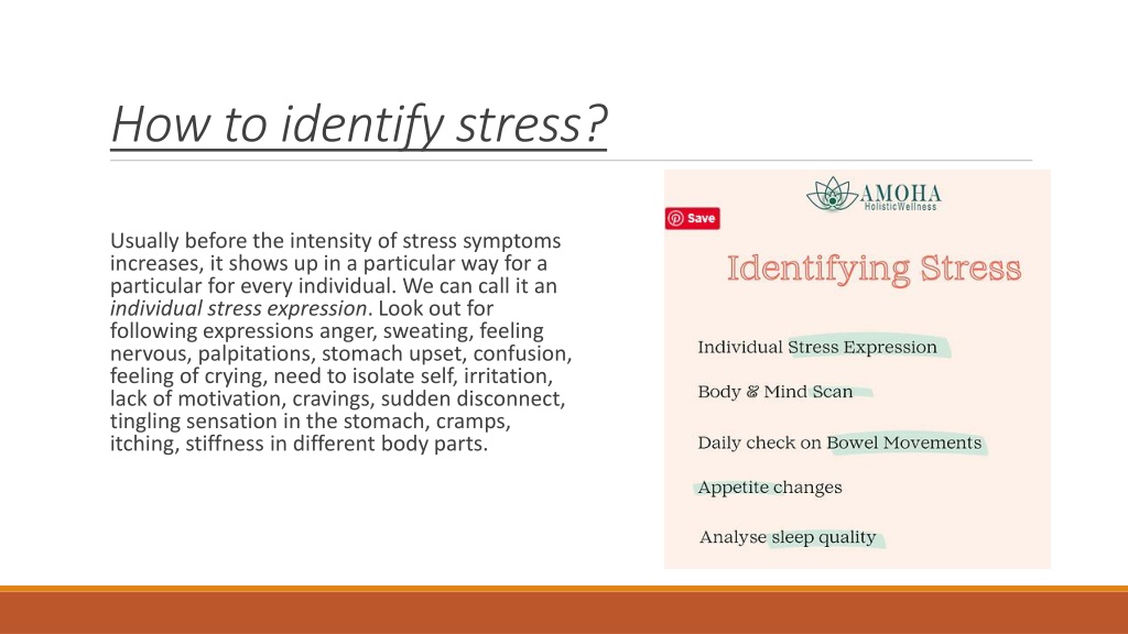 PPT - Holistic Ways to Manage Stress | Amoha PowerPoint Presentation ...