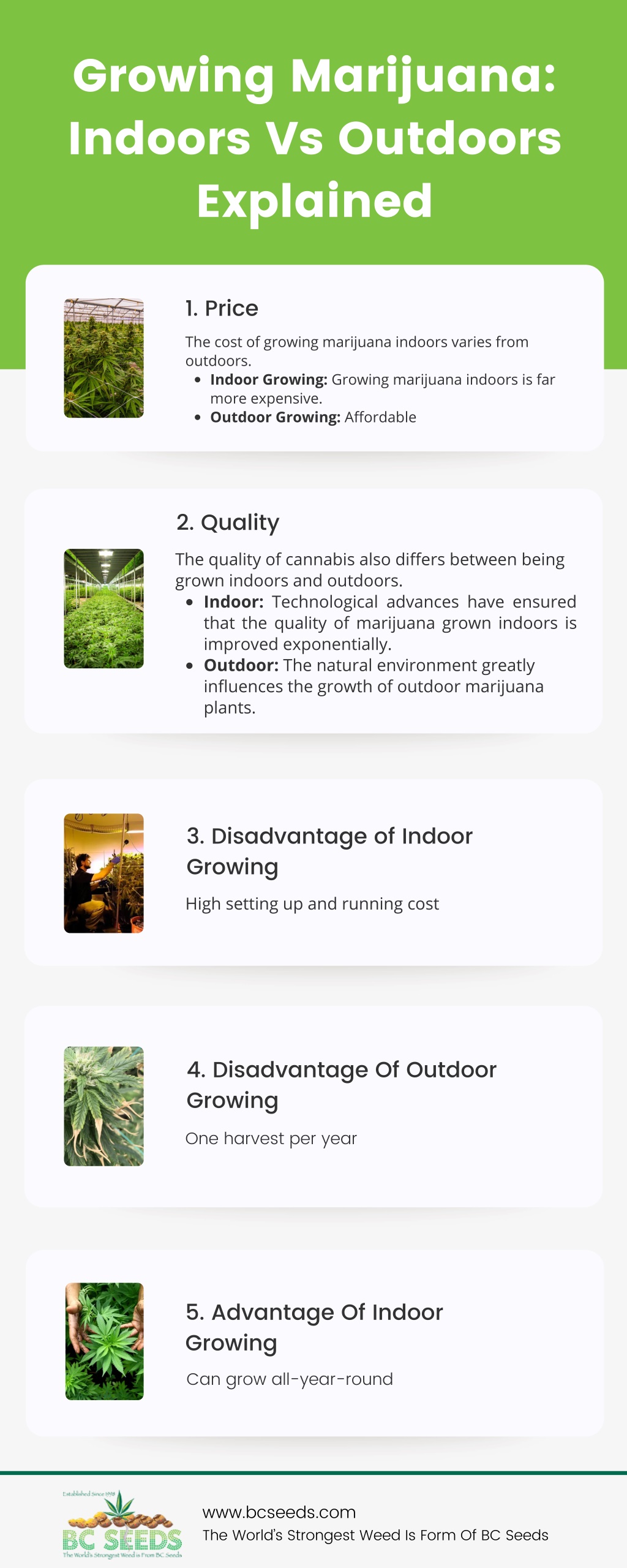 PPT - Growing Marijuana Indoors Vs Outdoors Explained PowerPoint ...
