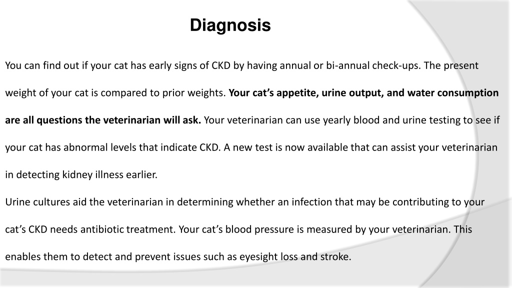 PPT - Know all about Chronic Kidney Disease (CKD) In Cats | VetSupply ...
