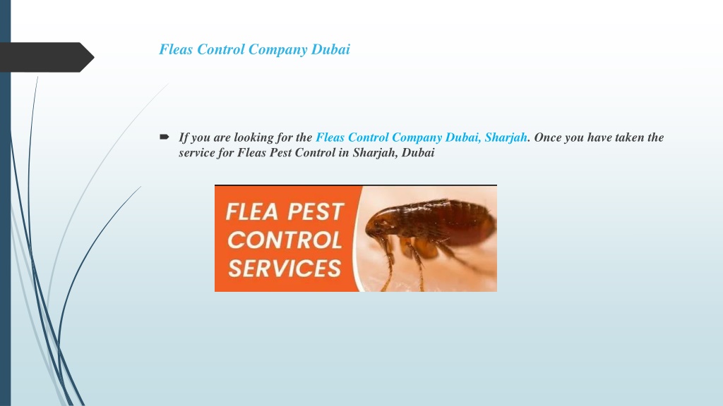 PPT - Dubai Municipality Approved Pest Control Company - SMG PowerPoint Presentation - ID:11572548