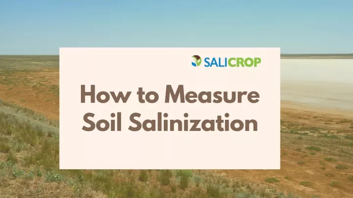 PPT - How to Measure Soil Salinization PowerPoint Presentation, free ...