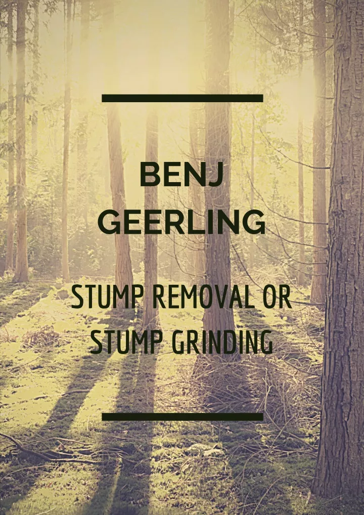 PPT - Benj Geerling - Stump Removal OR Stump Grinding PowerPoint ...