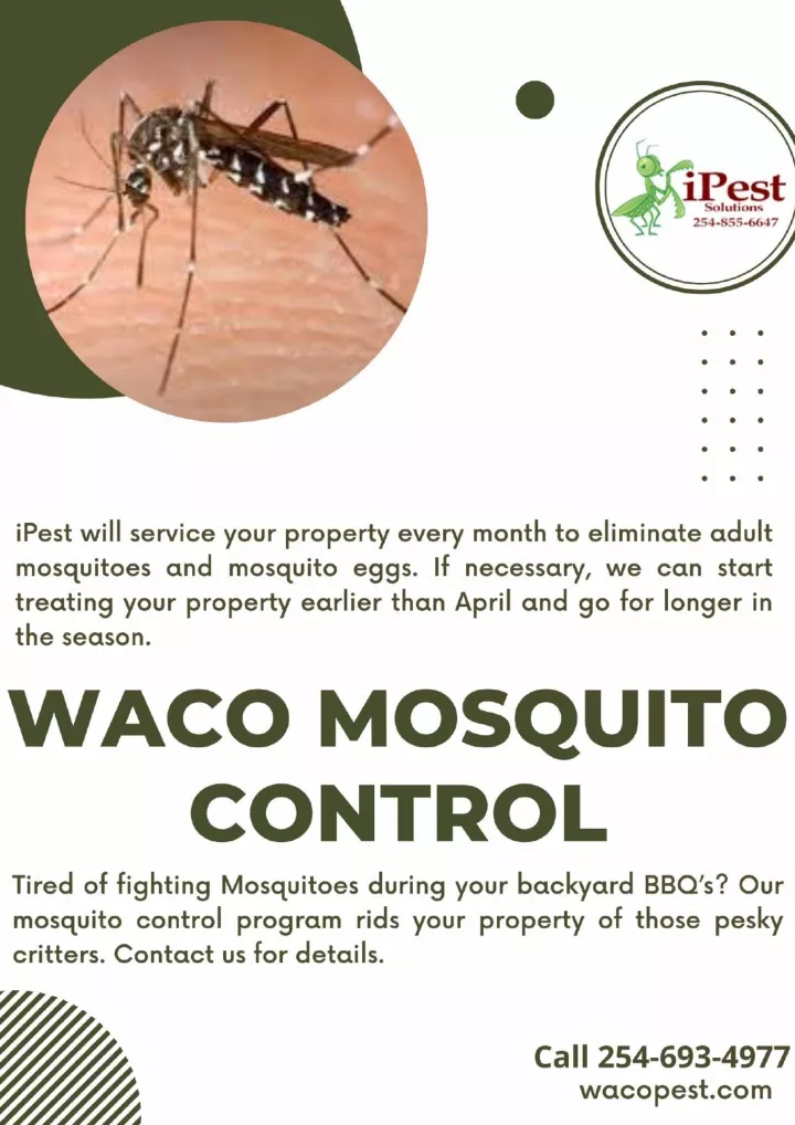 PPT - WACO MOSQUITO CONTROL PowerPoint Presentation, free download - ID ...