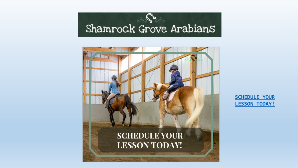 PPT - Shamrock Grove Arabians PowerPoint Presentation, free download ...