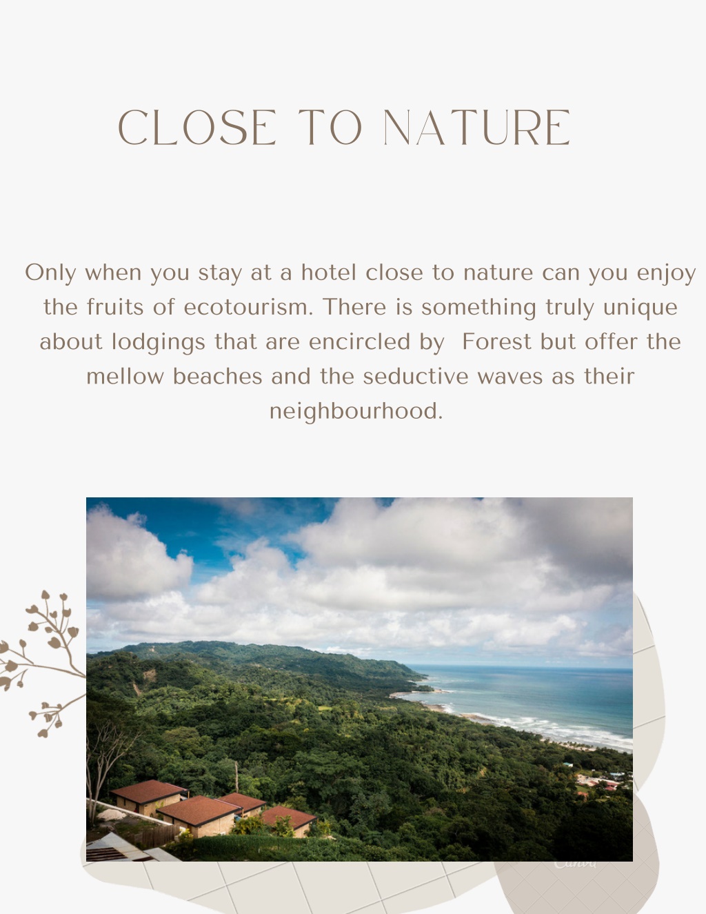 PPT - Ocean View Hotel Costa Rica | Laloon Luxury Suites PowerPoint ...