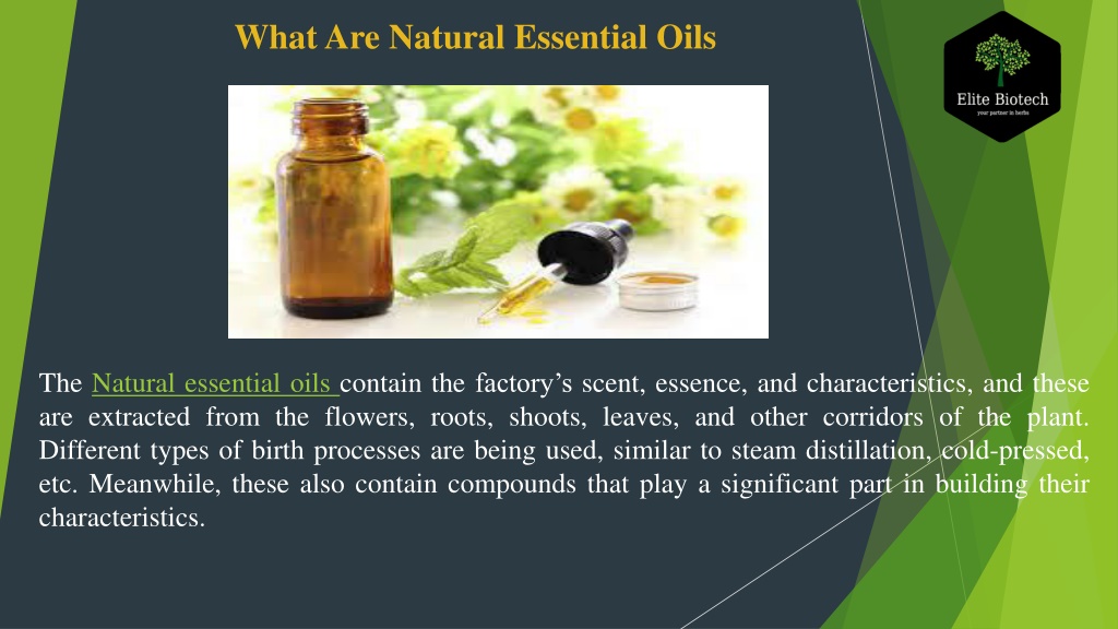 PPT - Best Essential Oils Manufacturers And Suppliers PowerPoint ...