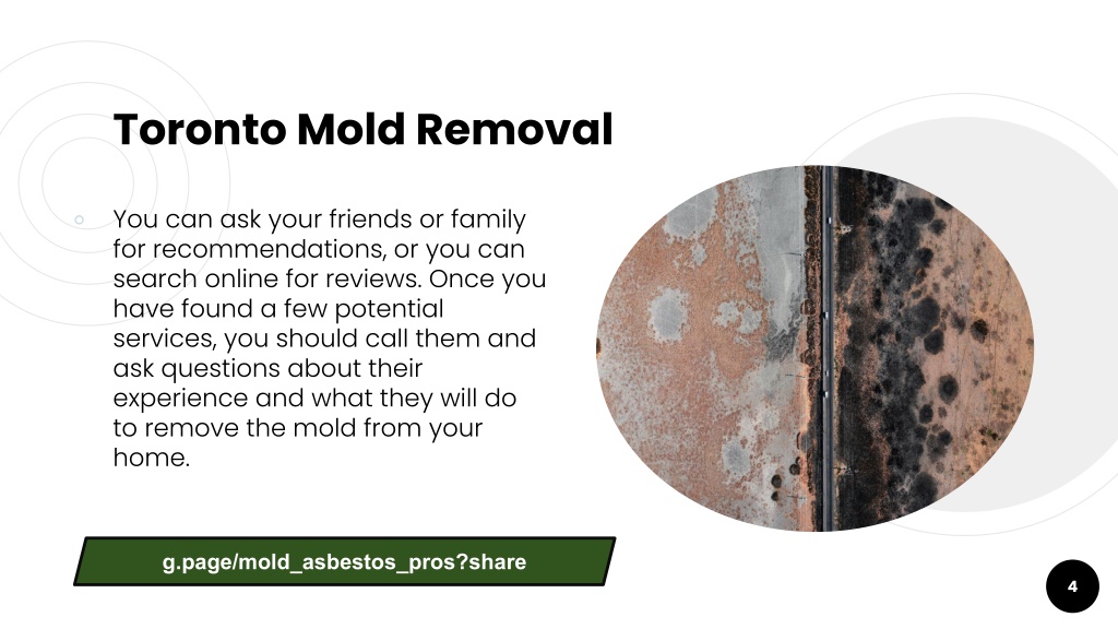 PPT - Toronto Mold Removal PowerPoint Presentation, free download - ID ...