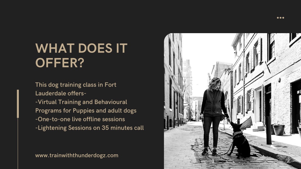 PPT - Dog Trainer Fort Launderdale - Puppy Classes Philadelphia ...