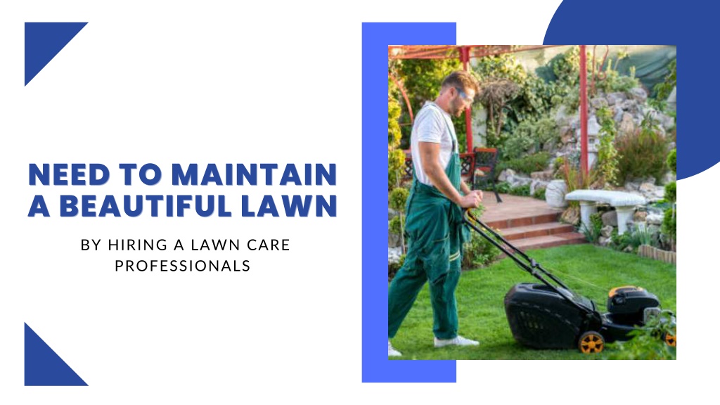 PPT - Need to Maintain a Beautiful Lawn By Hiring a Lawn Care ...