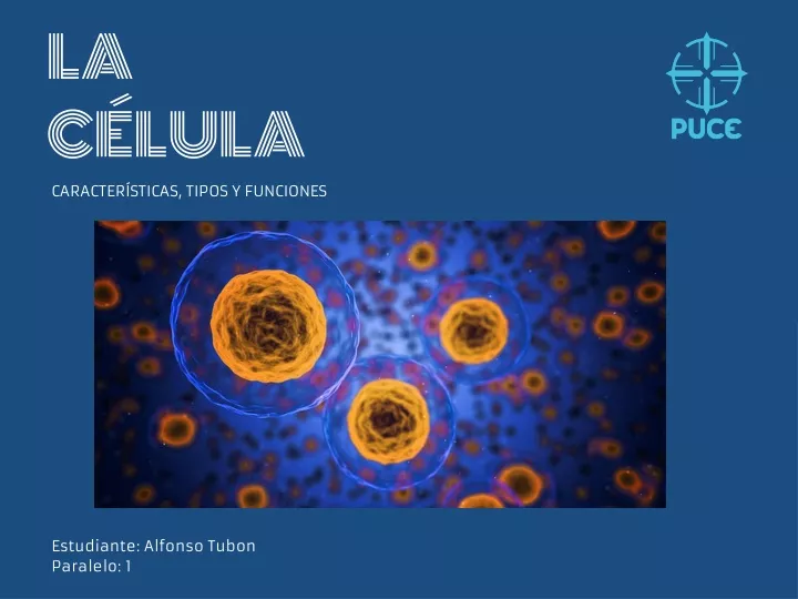 PPT - LA CELULA PowerPoint Presentation, free download - ID:11613219