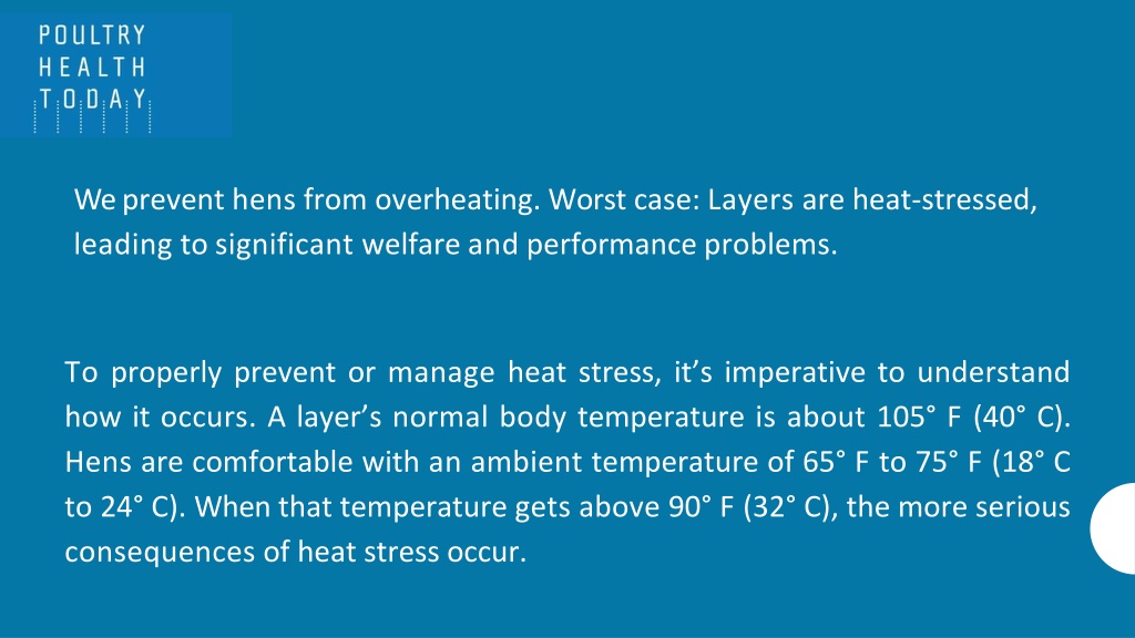 PPT - 5 steps to preventing heat stress in layers PowerPoint ...