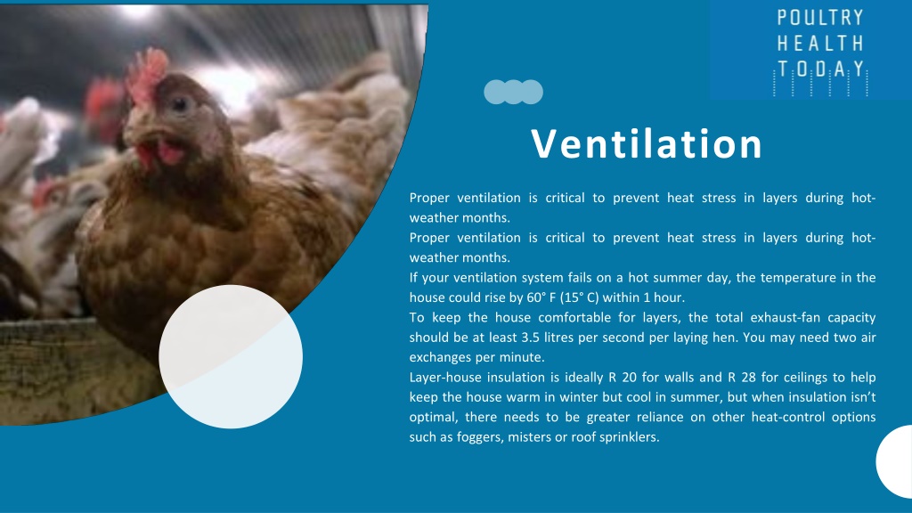 PPT - 5 steps to preventing heat stress in layers PowerPoint ...