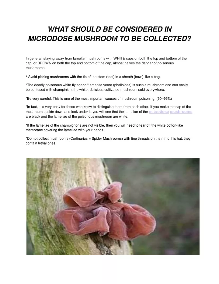 PPT - Microdosing Psilocybin In Canada | Buy Microdose ...