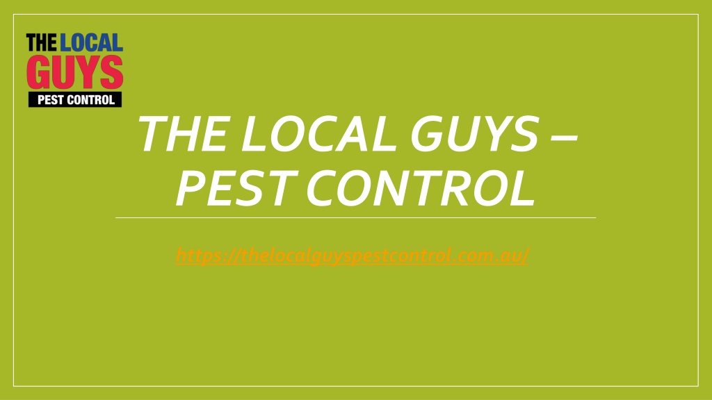 PPT - Best Pest Control Brisbane | Thelocalguyspestcontrol.com.au ...