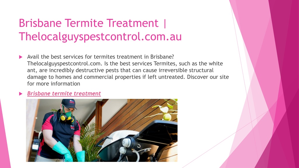 PPT - Brisbane Termite Treatment | Thelocalguyspestcontrol.com.au ...