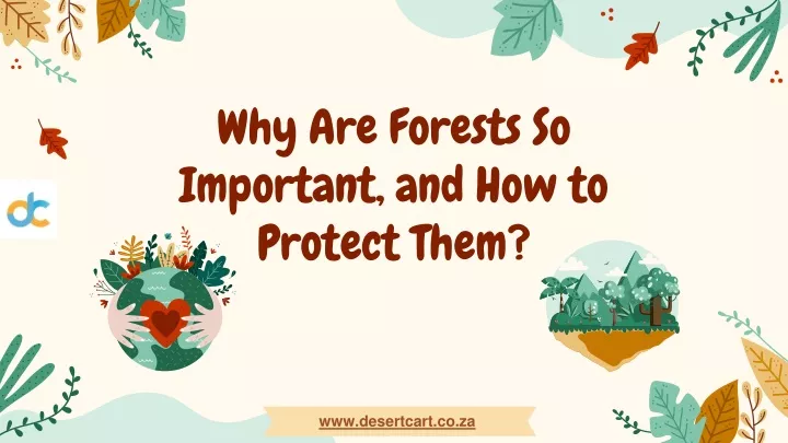PPT - Why Are Forests So Important, and How to Protect Them? PowerPoint ...
