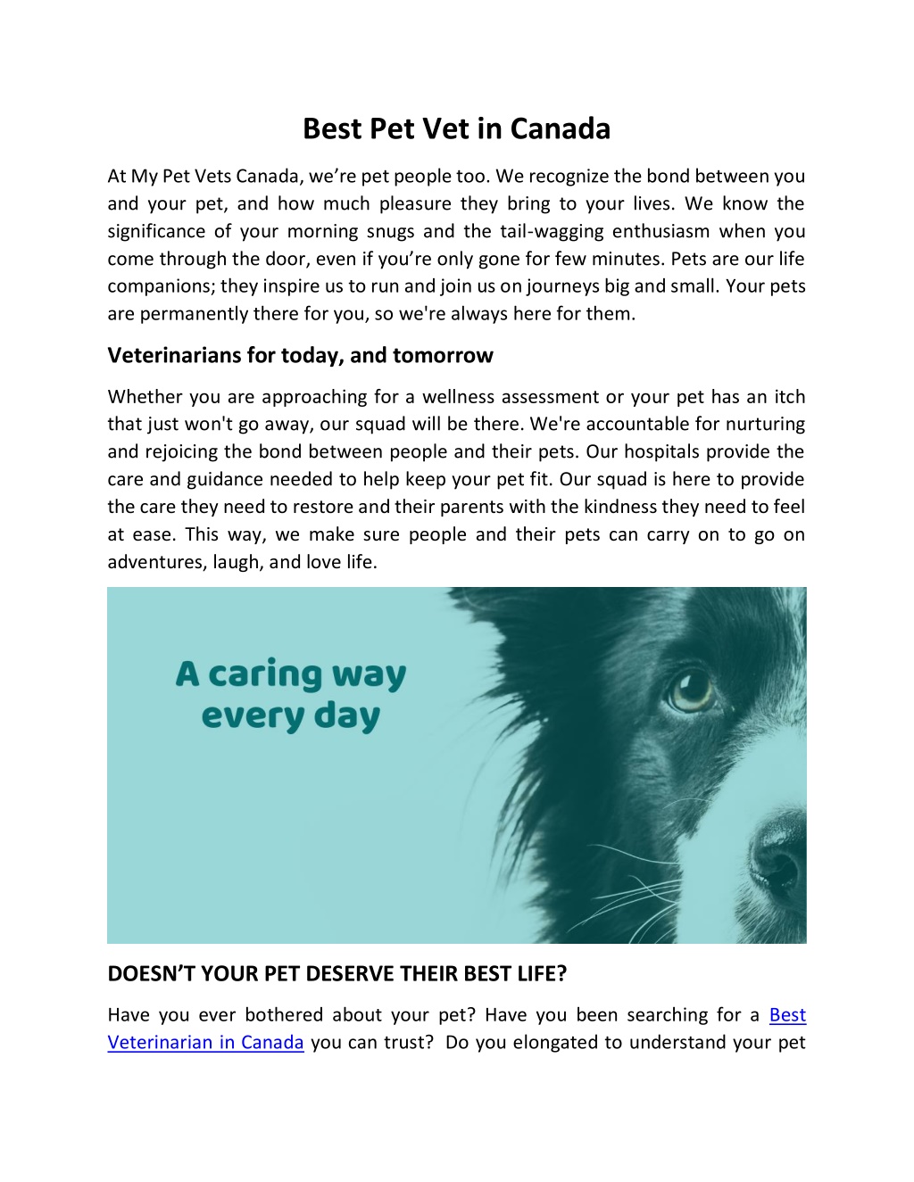 PPT - Best Pet Vet in Canada PowerPoint Presentation, free download ...