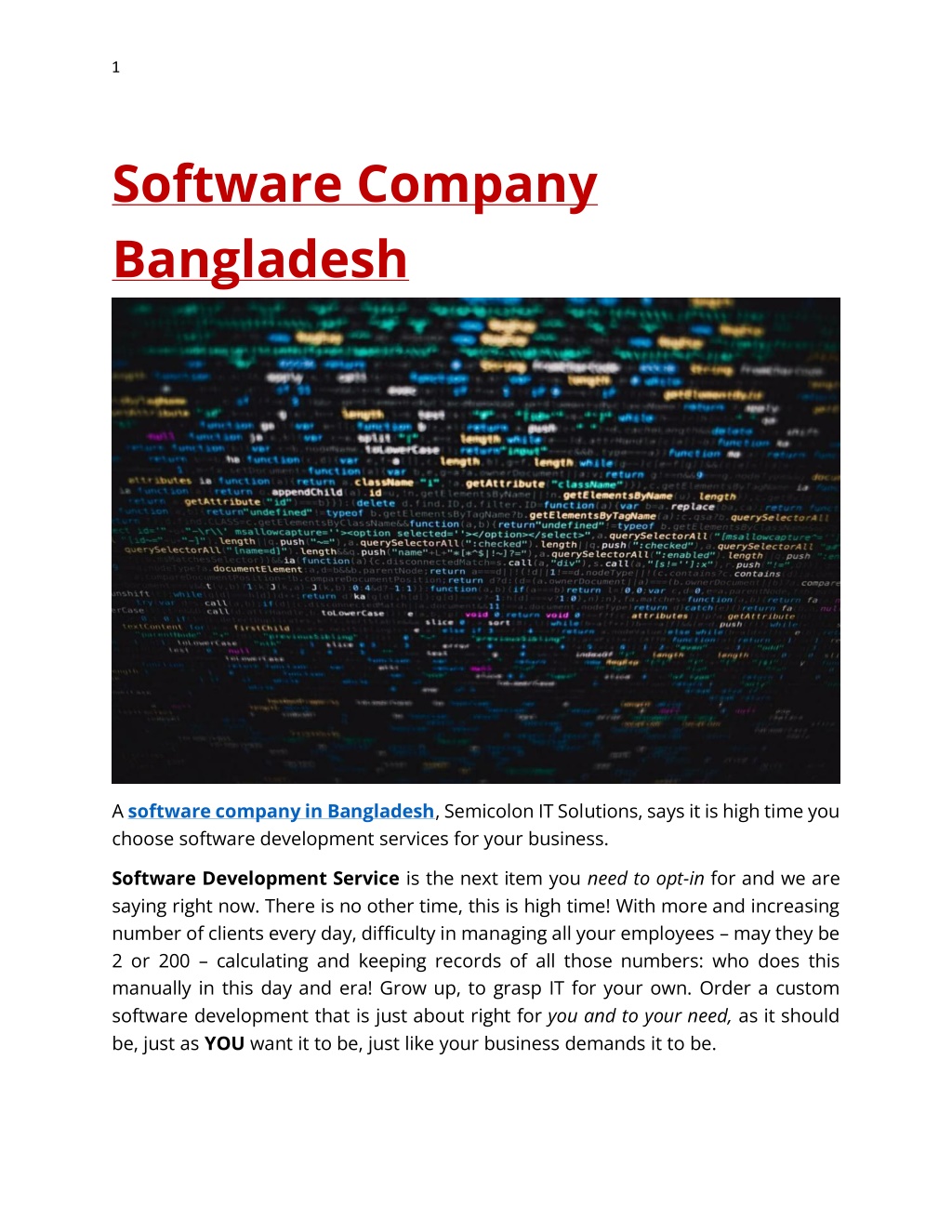 PPT - Software Company in Bangladesh - Semicolon IT Solutions ...