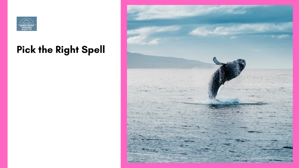 PPT - The Best Cues For Making A Whale Watching Tour Successful ...