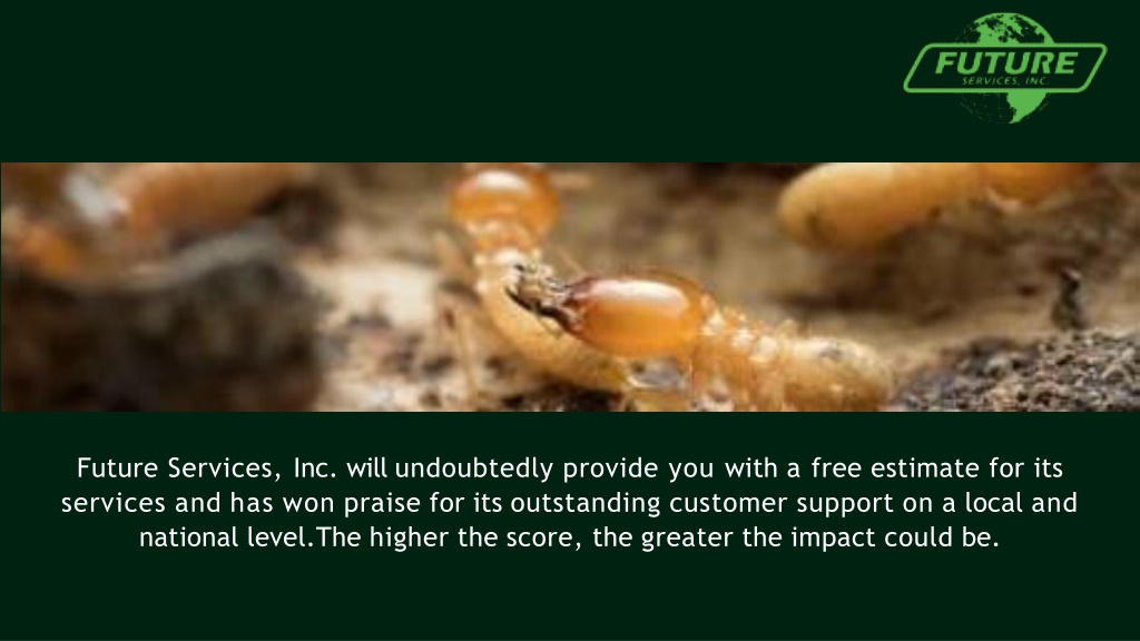 PPT - Make Sure To Check Out Future Services, Inc For Bed Bugs Removal PowerPoint Presentation ...