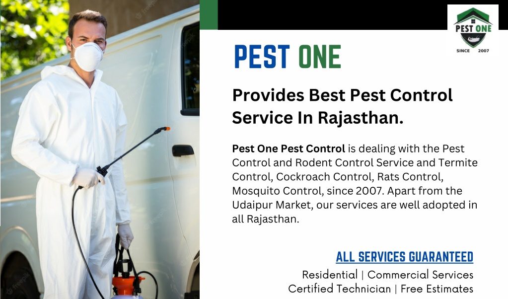 PPT - Best Pest Control Services Company In Udaipur PowerPoint ...