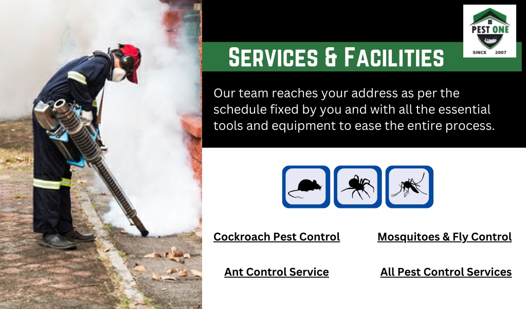 PPT - Best Pest Control Services Company In Udaipur PowerPoint ...