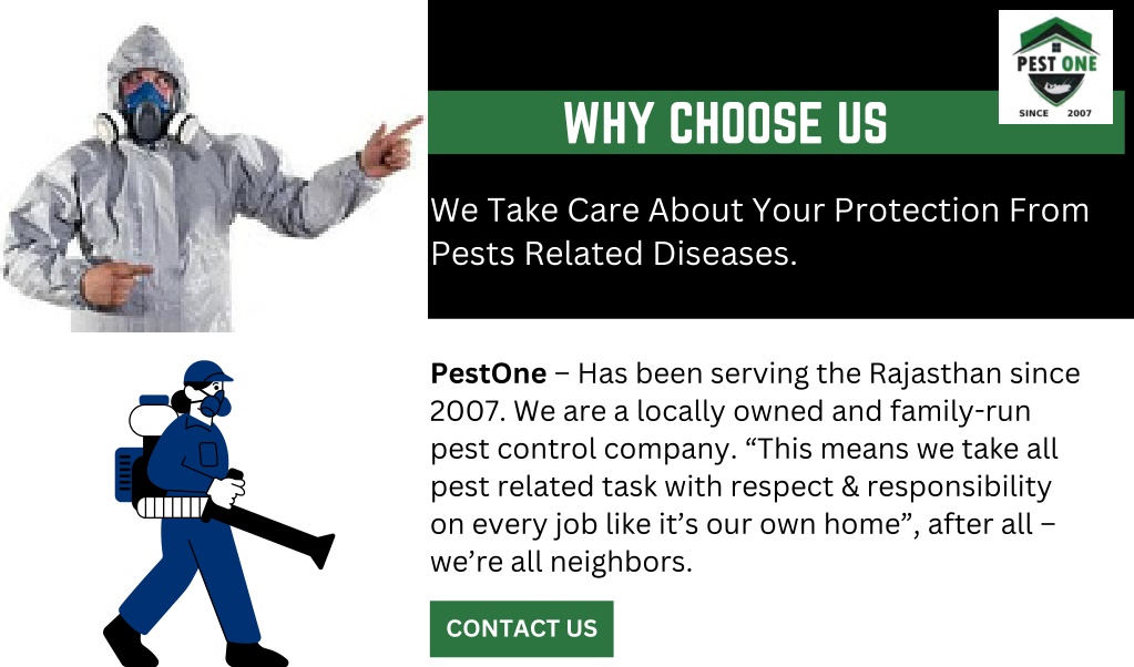 PPT - Best Pest Control Services Company In Udaipur PowerPoint ...