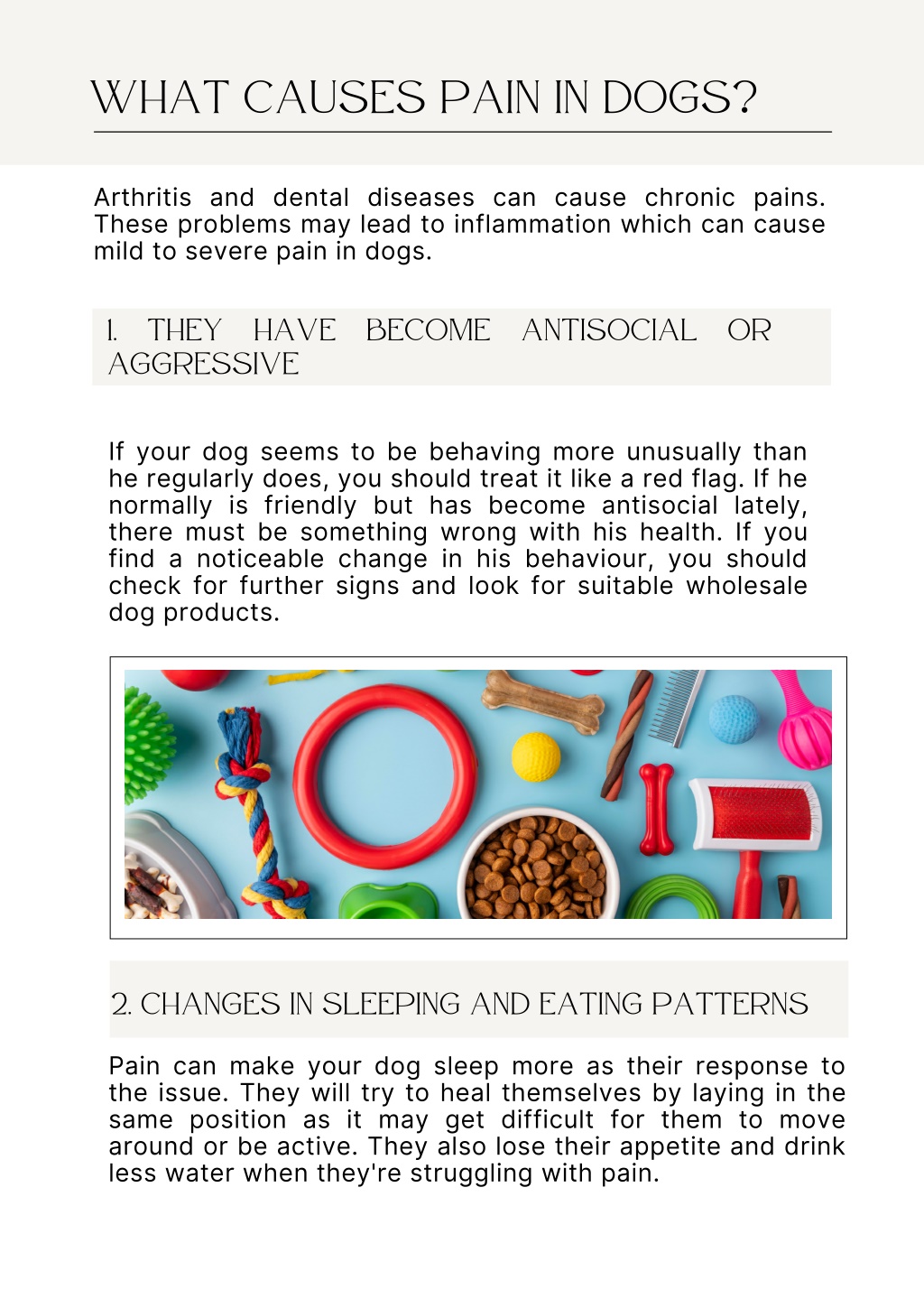 PPT - How to Spot Signs of Pain in Your Pet PowerPoint Presentation ...