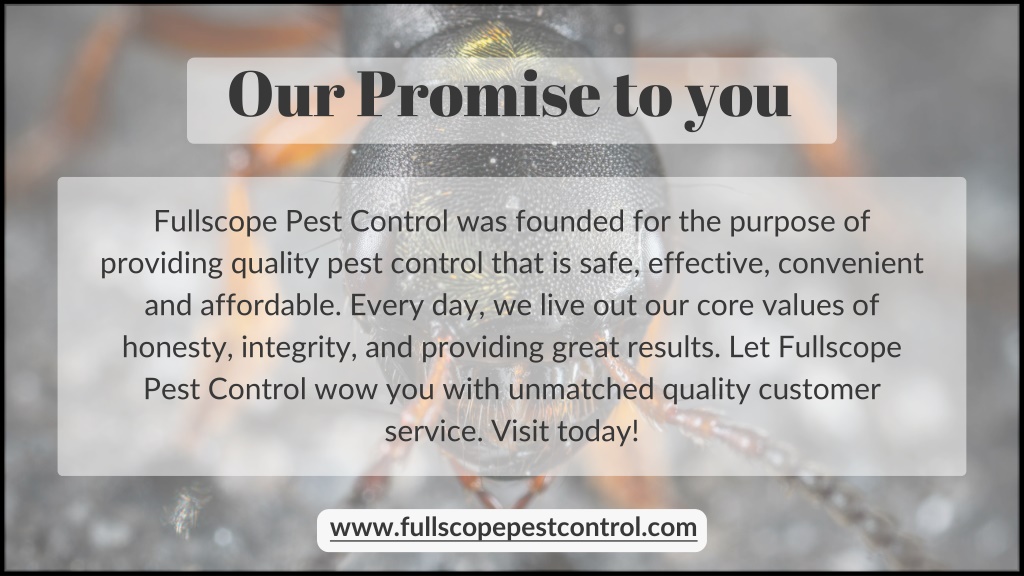 PPT - FullScope Pest Control PowerPoint Presentation, free download ...