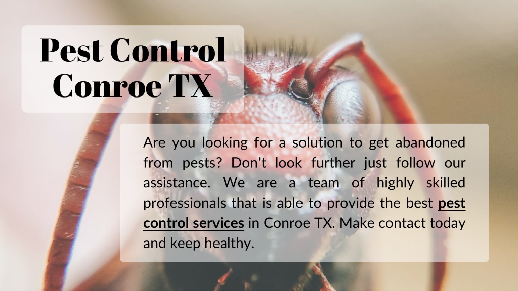 PPT - FullScope Pest Control PowerPoint Presentation, free download ...