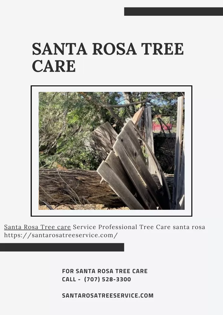 PPT - Santa Rosa Tree Care PowerPoint Presentation, free download - ID ...