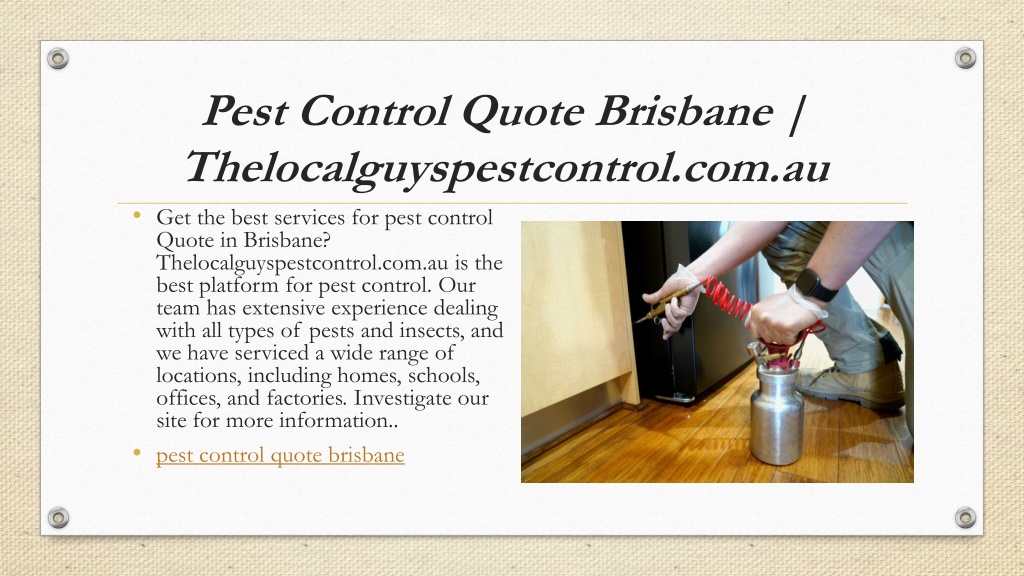 PPT - Pest Control Quote Brisbane | Thelocalguyspestcontrol.com.au ...