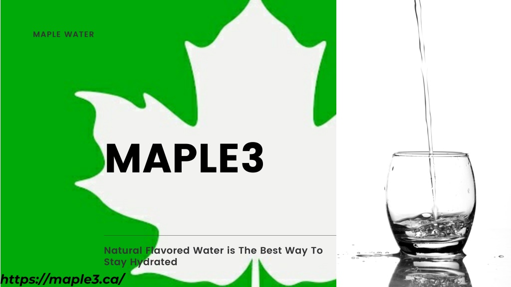 PPT - Natural & Organic Maple Water | Plant-Based Water:Maple 3 ...