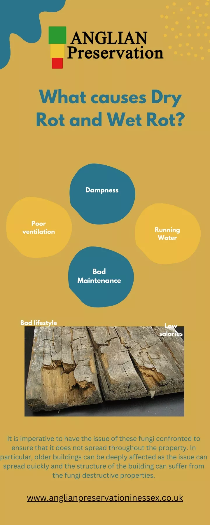 PPT - Dry & Wet Rot Specialists in Essex PowerPoint Presentation, free ...
