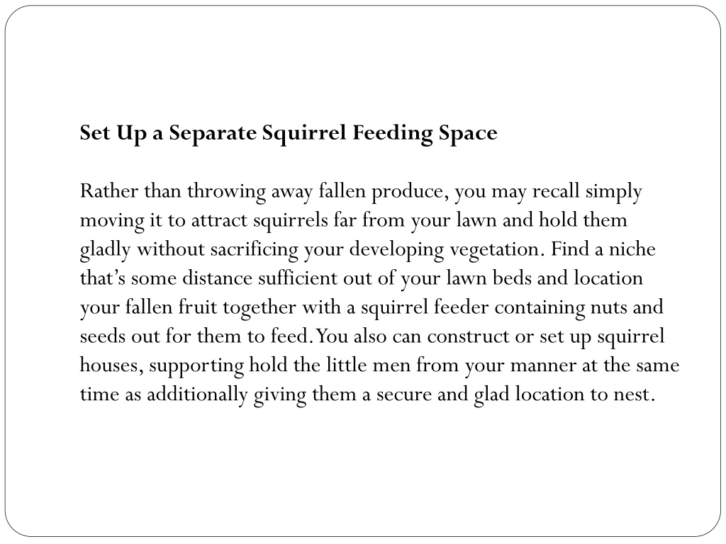 PPT - Squirrels Feasting In Your Garden? Ontario’s Squirrel Removal ...