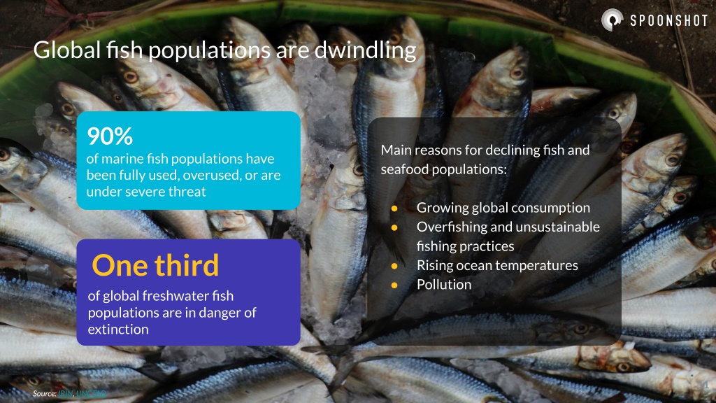 PPT - Food Trends 2023 PowerPoint Presentation, free download - ID:11676148