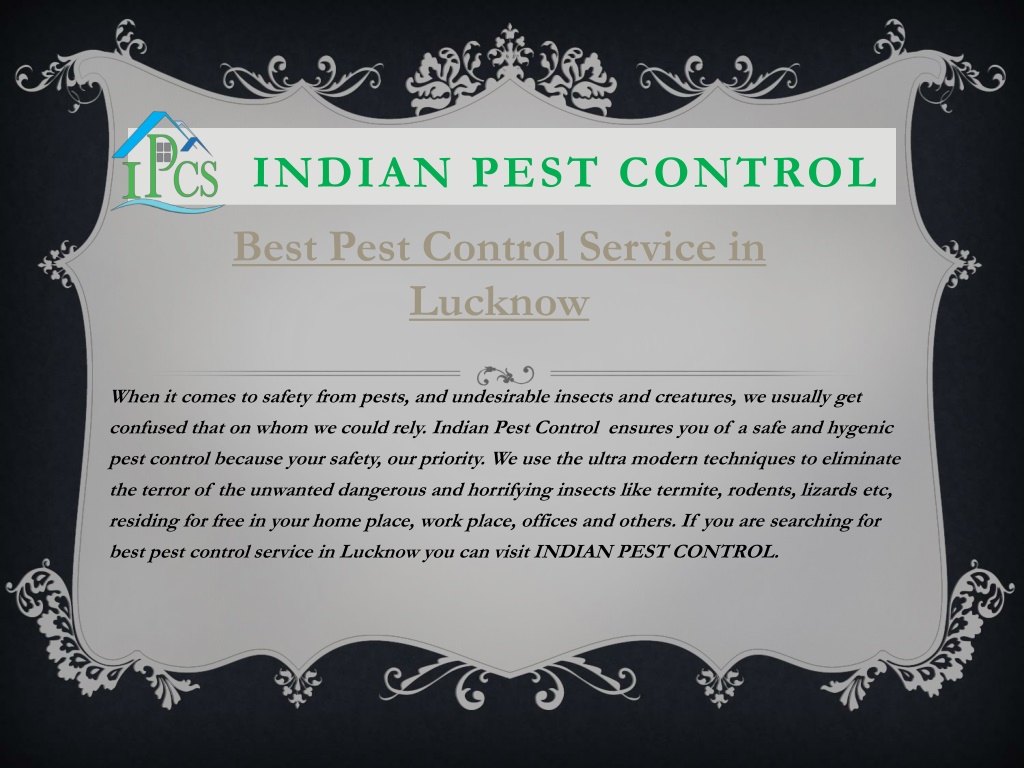 PPT - Best Pest Control Service in Lucknow PowerPoint Presentation ...