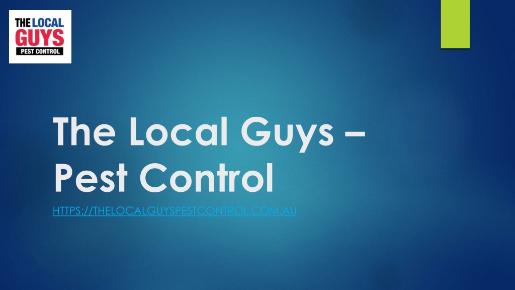PPT - Termite Inspection Perth | Thelocalguyspestcontrol.com.au ...