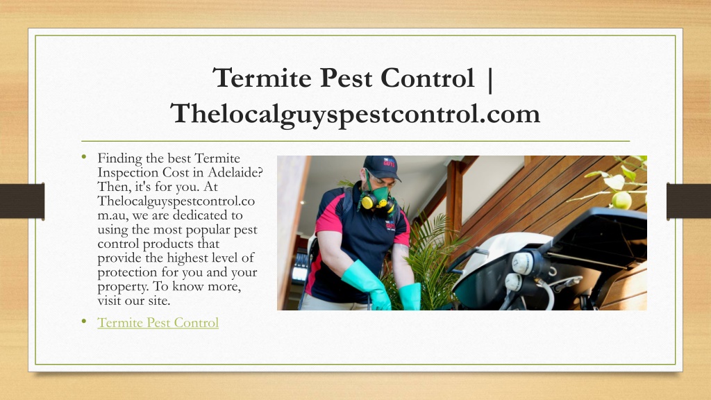 PPT - Termite Pest Control | Thelocalguyspestcontrol.com PowerPoint ...