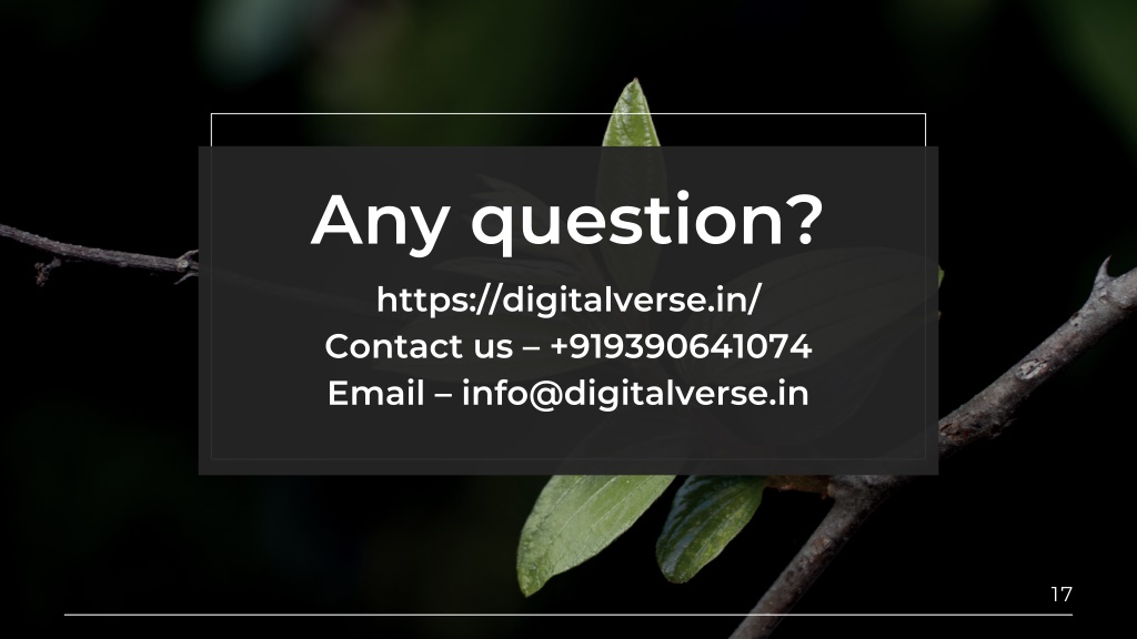 PPT - Best Website Development Company in Delhi PowerPoint Presentation - ID:11681074