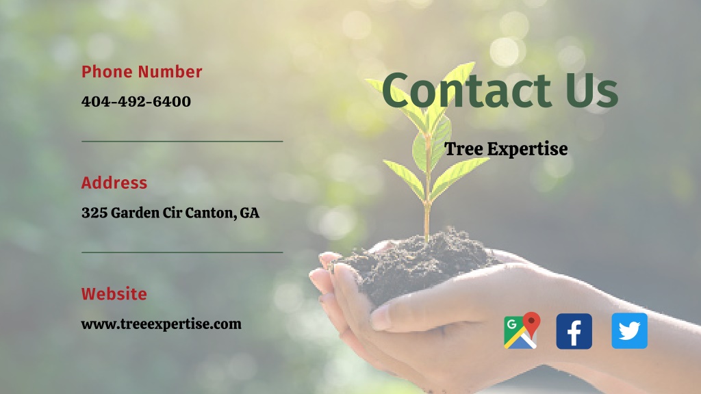 PPT - How to Care for Newly Planted Trees PowerPoint Presentation, free ...
