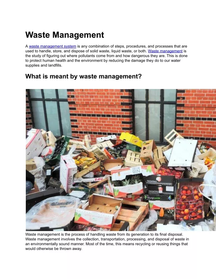 PPT - Waste Management PowerPoint Presentation, free download - ID:11688801