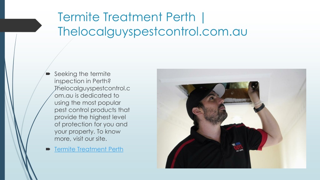 PPT - Termite Treatment Perth | Thelocalguyspestcontrol.com.au ...